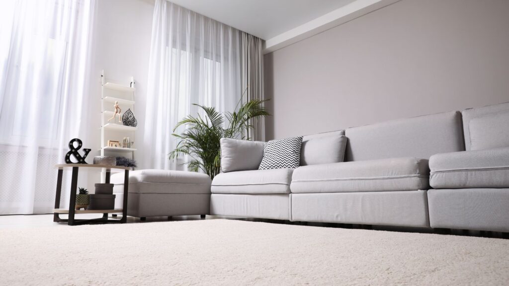 Best Carpet for Your Living Room
