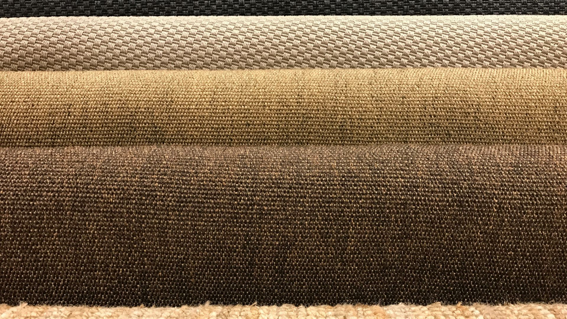 Best Carpet for Your Living Room